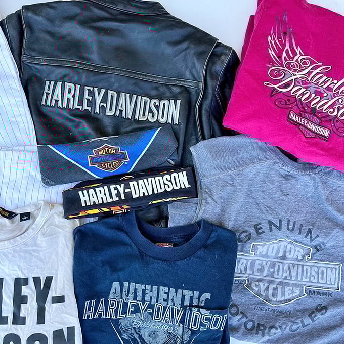 Motorcycle dreams don't require a full wallet. This collection of Harley-Davidson gear offers instant road cred without the sticker shock.