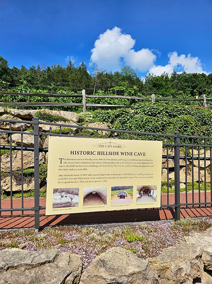 History lessons carved in stone, explaining how these caves have been keeping wine cool since your ancestors wore bonnets.