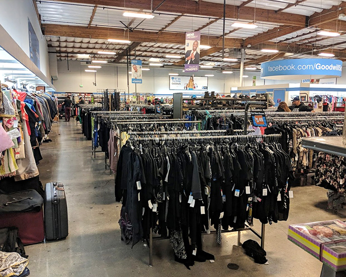 The warehouse wonderland stretches before you like an urban archaeological dig. The thrill of the hunt begins where the racks meet the horizon.