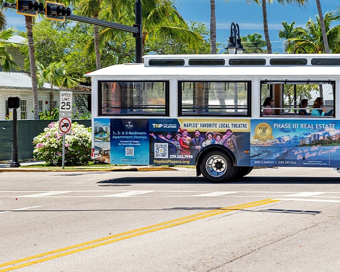 Naples' public transportation comes with a side of palm trees and sunshine&mdash;making even a simple bus ride feel like you're in a travel brochure.