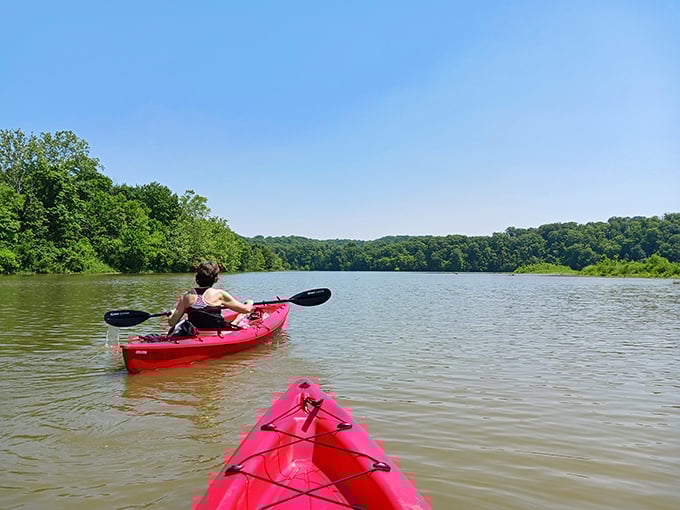 Kayakers navigate the tranquil waters in cherry-red vessels, proving Indiana lakes can rival coastal adventures.