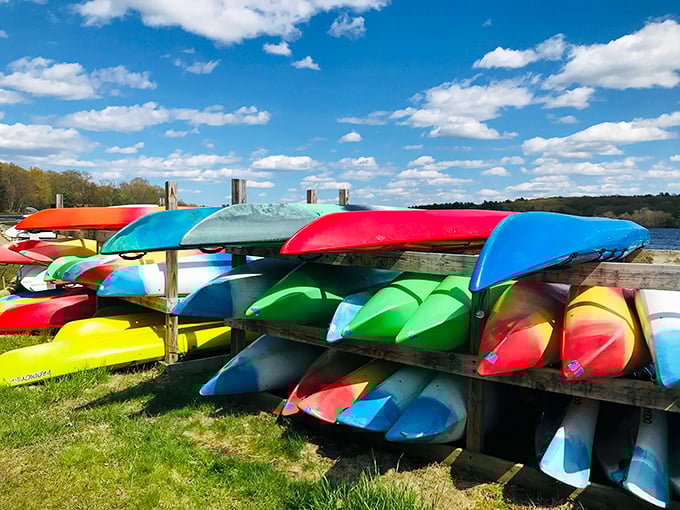 A rainbow armada of kayaks stands ready for adventure, like a box of crayons waiting to color the reservoir's blue canvas.