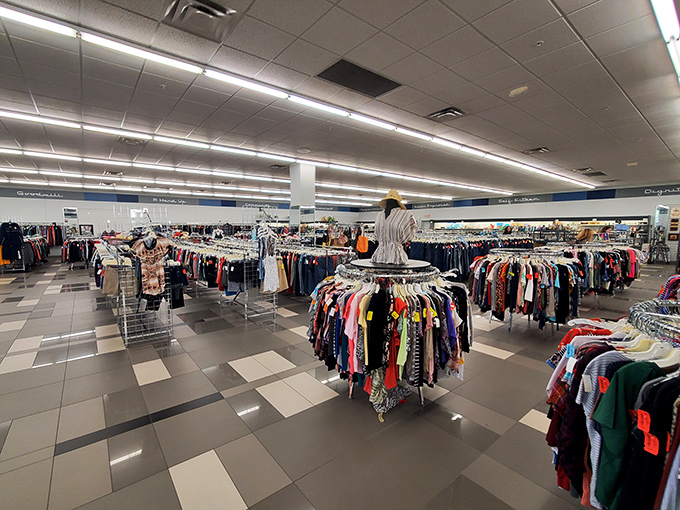 The clothing forest where fashion trends of every decade hang in suspended animation, waiting for their triumphant return to the spotlight.