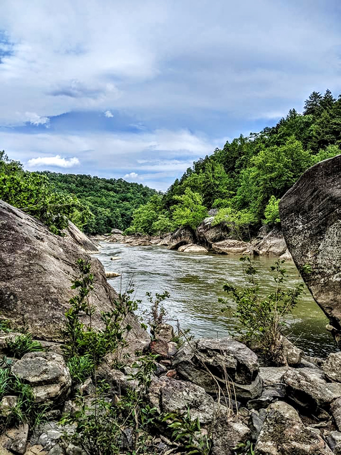 Nature's amphitheater: massive rock formations frame the Cumberland River like they've been waiting millions of years for your approval.