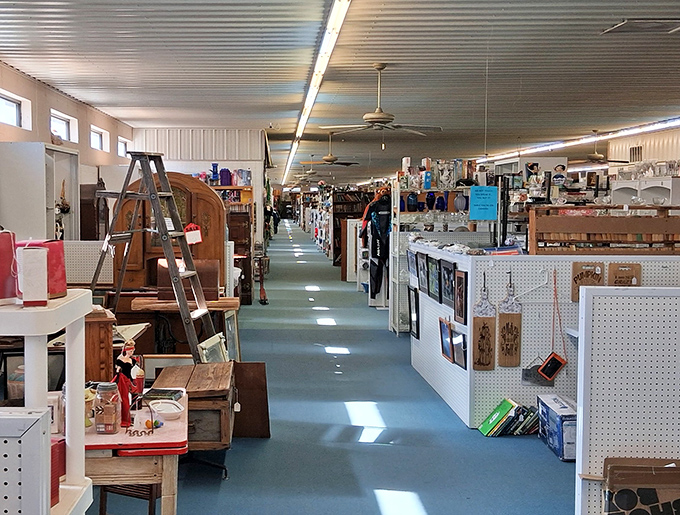Sunlight streams through the windows, illuminating pathways through vendor booths like archaeological digs of American culture.