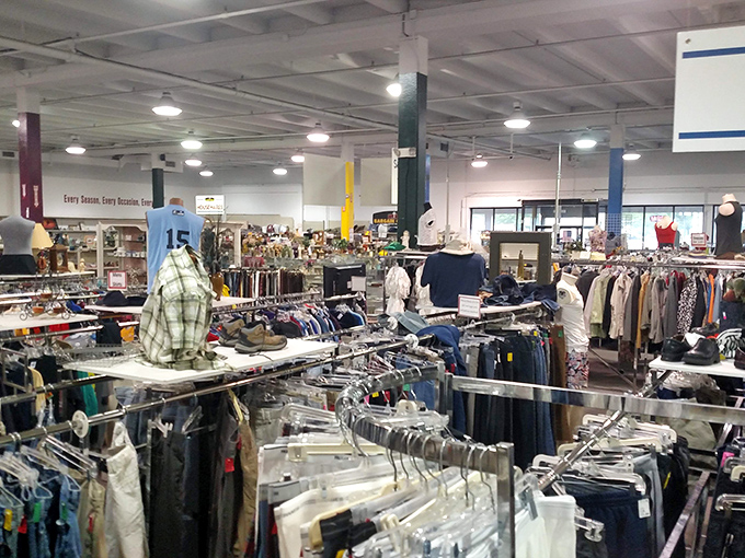 The spacious layout makes treasure hunting actually enjoyable, with clearly marked sections and enough room to browse without feeling like you're in someone's cluttered attic.