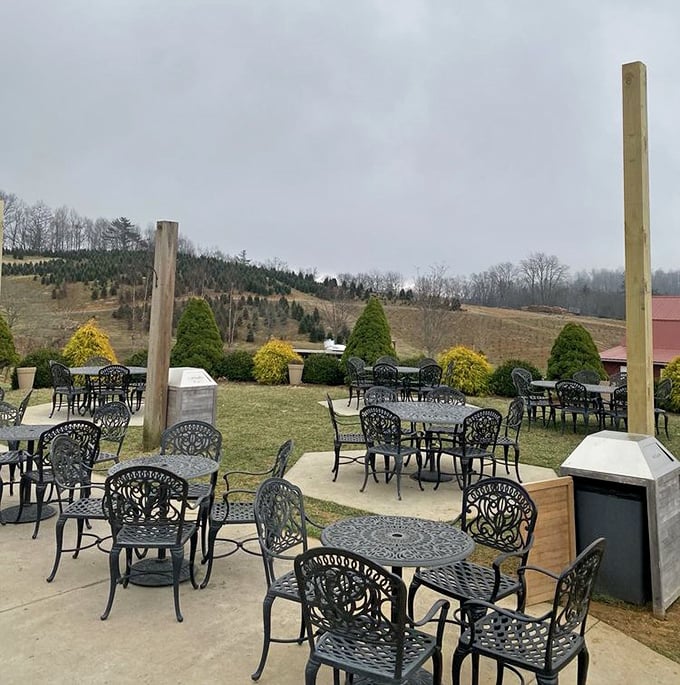 Even on cloudy days, these outdoor tables promise better conversation than any Zoom meeting you've suffered through this month.