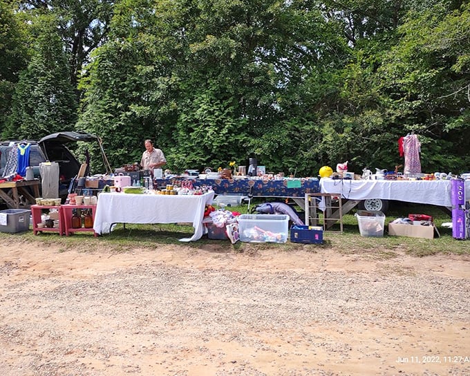 The great outdoor bazaar stretches endlessly, proving that one person's "I'll use this someday" becomes another's "exactly what I needed!"