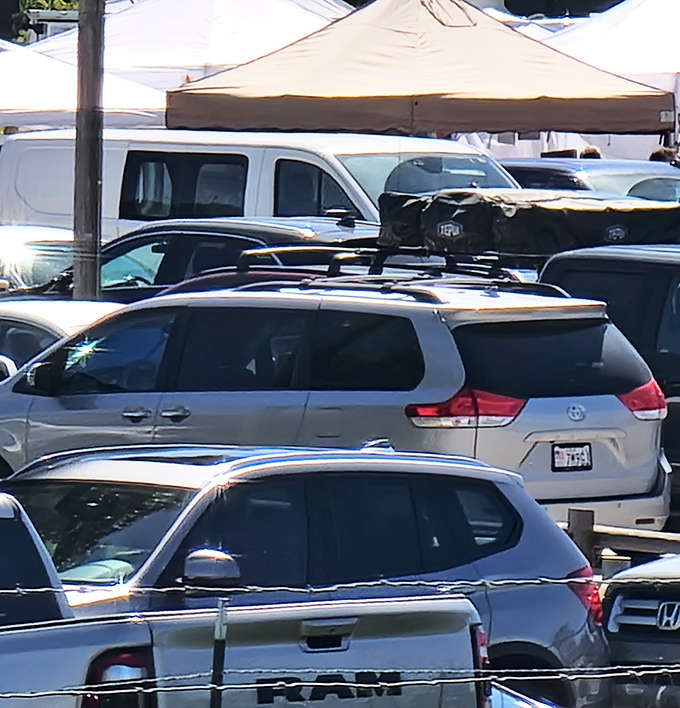 The packed parking lot&mdash;where hope springs eternal that someone is just leaving as you circle for the fifth time.