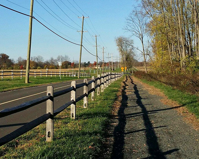 Where suburban infrastructure meets natural pathways&mdash;the park's clever design creates boundaries that say "civilization that way, serenity this way."