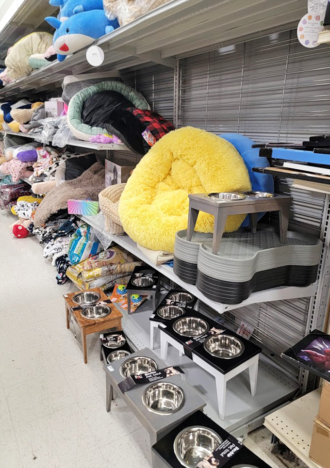 Pamper your pets without pawning your possessions. From plush beds to elevated dining stations, Fido and Fluffy can live luxuriously too.