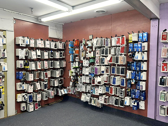 Phone cases displayed like a rainbow exploded in the most organized, budget-friendly way possible &ndash; technology meets personality.