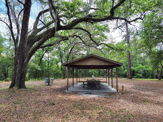 This covered picnic pavilion sits under a majestic oak, offering the perfect spot for post-swim sandwiches and nature-watching.