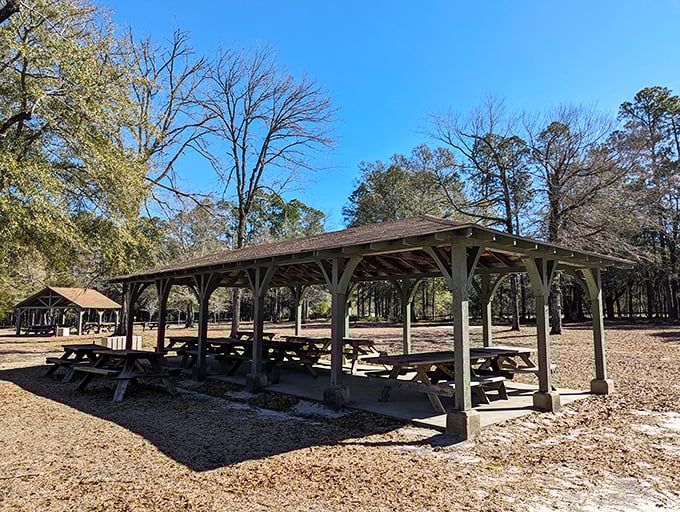 Rustic picnic pavilions that have witnessed generations of family gatherings, birthday celebrations, and first dates under their sturdy roofs.