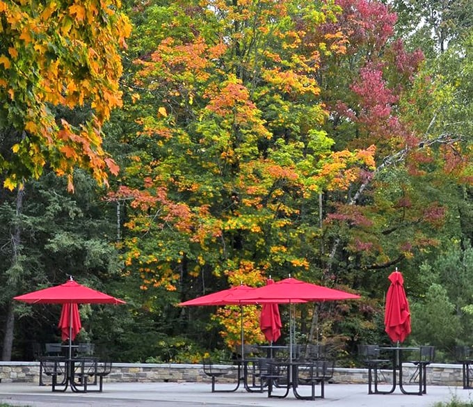 Picnic paradise with a side of fall foliage. These red umbrellas provide the perfect spot to refuel after communing with Michigan's most famous waterfall.