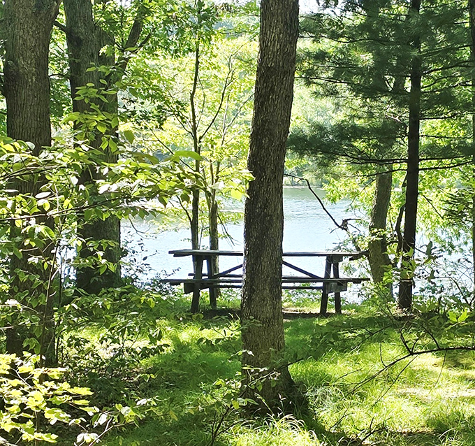 A lakeside bench perfectly positioned for nature's greatest show. No tickets required, though you might want to arrive early for the sunset special.