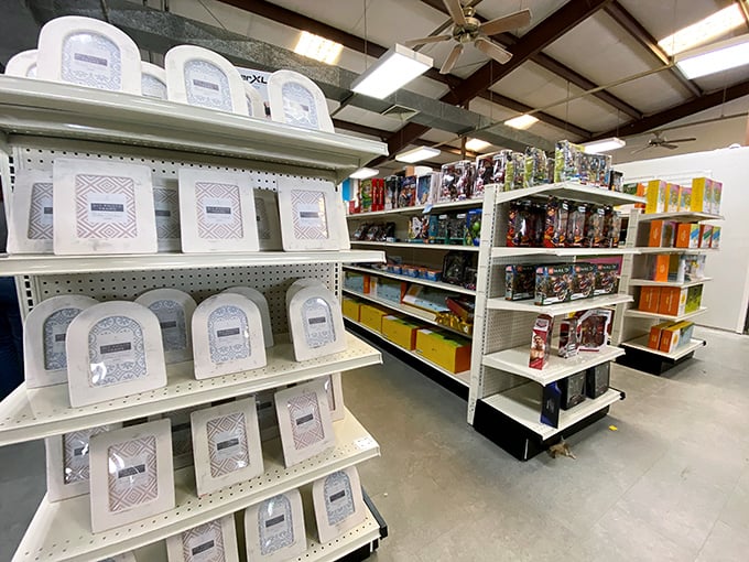 From picture frames to toys, this aisle is where forgotten treasures find new purpose. That mailbox organizer? Someone's "mahalo" card holder in waiting.