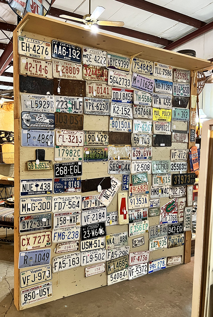 License plates from across America create a road trip on a wall. Each plate represents thousands of miles and countless stories.