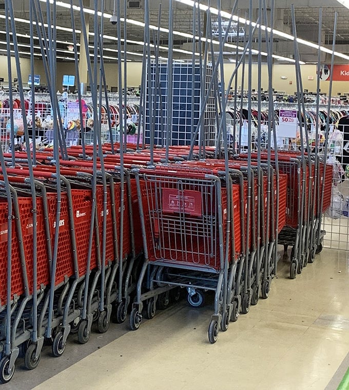 The shopping cart corral &ndash; where your empty cart enters with modest ambitions and exits with dreams fulfilled.