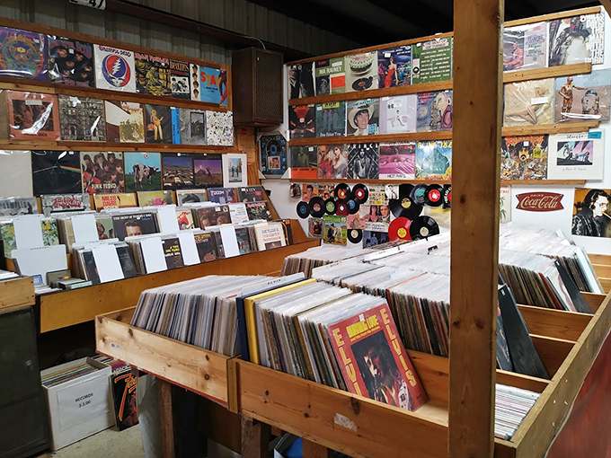 Vinyl heaven for music lovers! This stall is where forgotten albums come for their second act&mdash;each record sleeve a time capsule waiting to be opened.