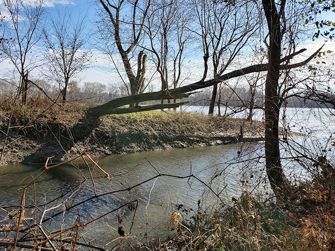 Winter reveals the bones of the forest where the Wabash River quietly shapes the landscape, a scene straight from a Robert Frost poem.