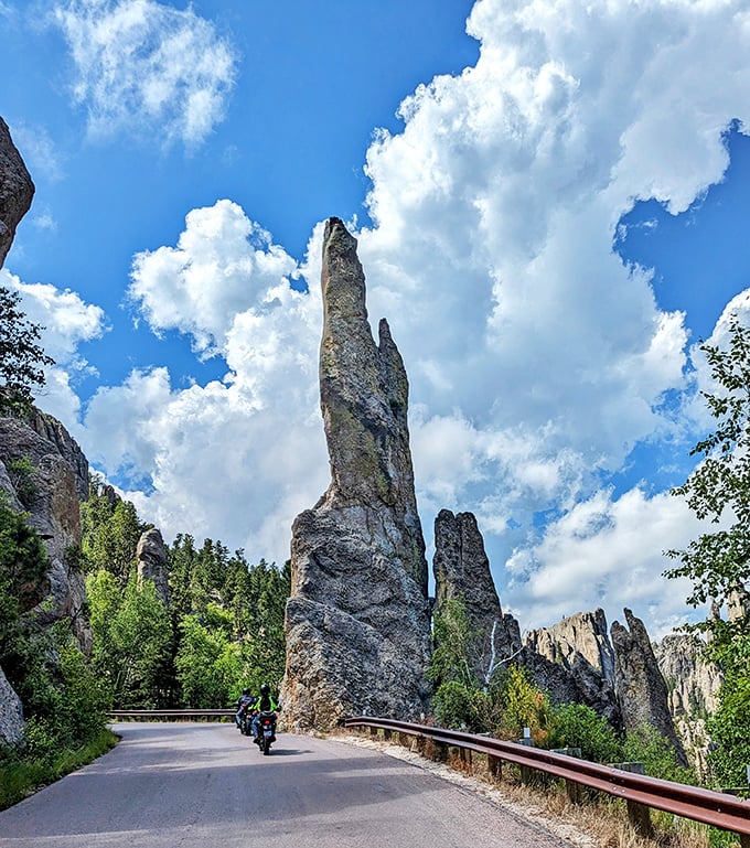 The Needles Highway delivers the kind of curves that make sports cars jealous and passengers reach for imaginary brake pedals.