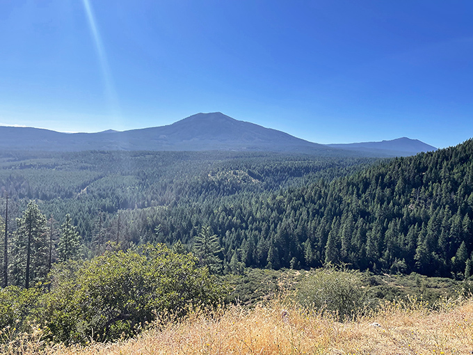 The view stretches for miles across Shasta County's volcanic landscape. On clear days, you can practically see tomorrow from here.