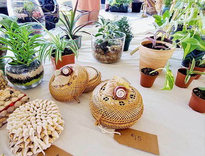 Tiny green worlds waiting to transform your windowsill. These succulents and handcrafted baskets prove good things really do come in small packages.
