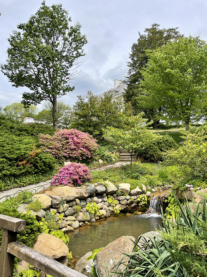 Water tumbles over artfully arranged stones while azaleas provide a pink exclamation point, creating nature's version of a spa soundtrack you can actually see.