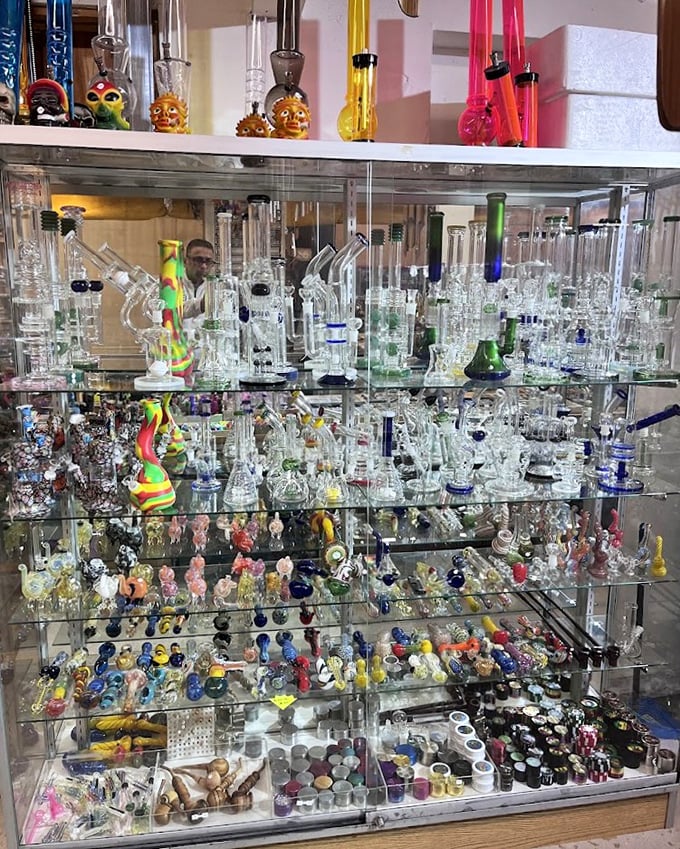 Colorful glass creations catch the light in mesmerizing displays. Art meets function in this carefully curated collection that draws in curious browsers.