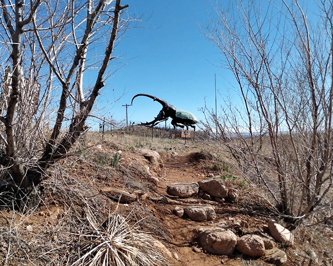 Framed by barren branches, Herkimer stands guard over the landscape like a scene from a sci-fi film where insects finally get their revenge.