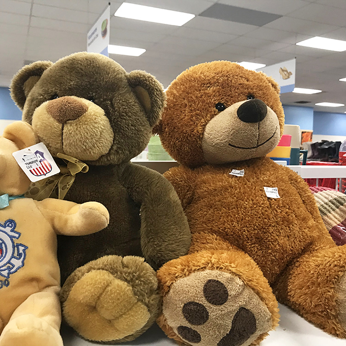 Teddy bears with hopeful eyes sit patiently, ready to become someone's cherished companion rather than landfill casualties.