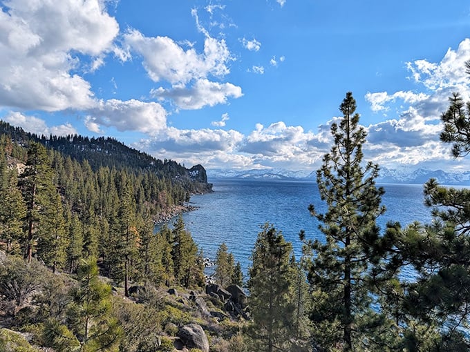 Where pines reach for the sky and humans remember how small they really are. Tahoe's forest cathedral makes office problems seem delightfully insignificant.