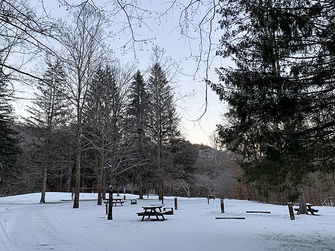 Winter camping at Ole Bull transforms the park into a peaceful snow globe where silence becomes your favorite soundtrack.