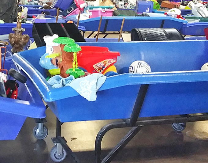 One shopper's discarded plastic palm tree is another's living room conversation piece. The toy bins are where childhood nostalgia meets bizarre discoveries.