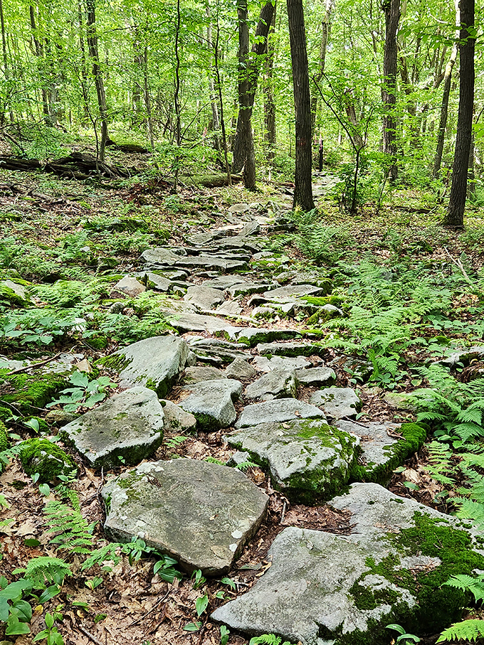Nature's stairmaster with better scenery and no monthly membership fee. These stone steps have been challenging hikers and rewarding them with views for generations.