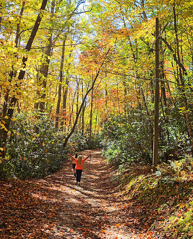 Autumn's golden tunnel beckons hikers into a scene straight out of a Tolkien novel. Just follow the leaf-strewn path&mdash;second star to the right and straight on till wonder. 