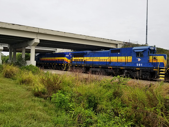 The railway's workhorse slips beneath modern infrastructure, a colorful reminder of transportation's evolution. Yesterday's technology still turning heads today. 