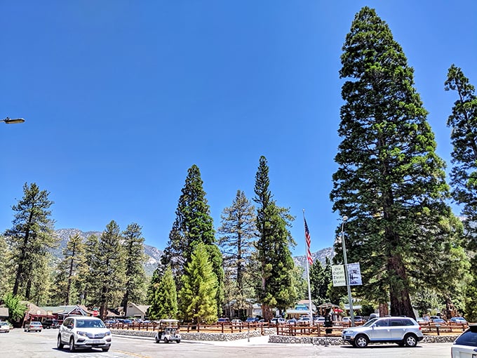Blue skies, majestic pines, and mountain views &ndash; Idyllwild's natural skyline puts any urban landscape to humble shame.