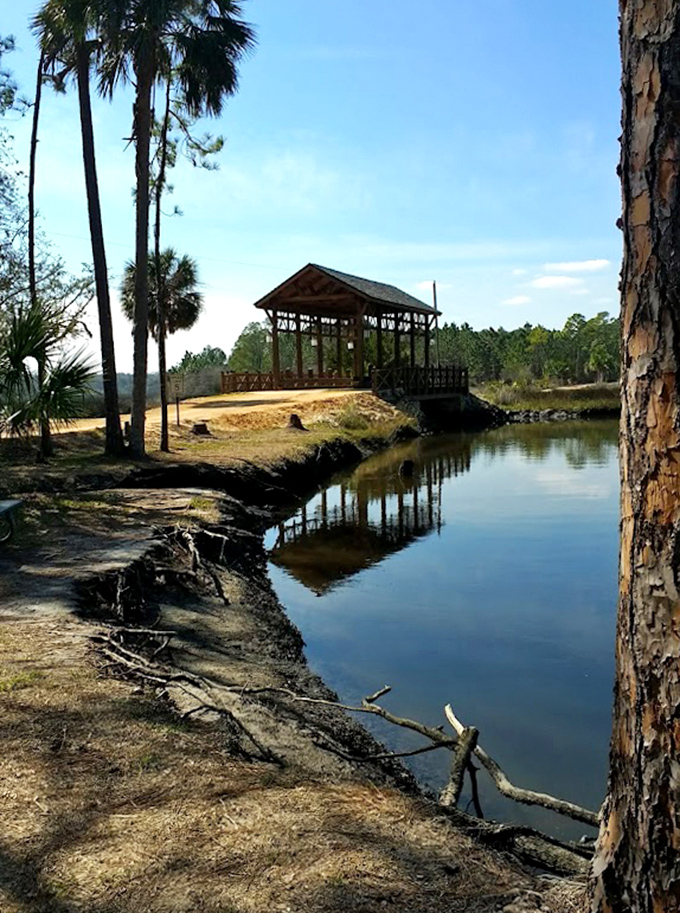 From a distance, the covered bridge appears to float above the water, a wooden island connecting two shores of Florida wilderness.