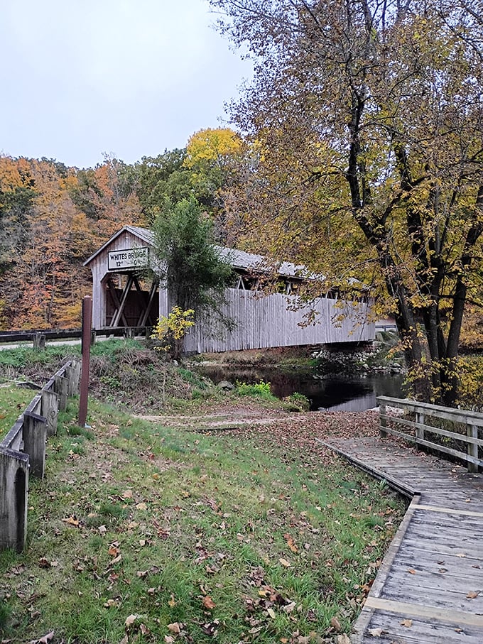 The wooden walkway leading to the bridge offers a perfect vantage point. Nature's version of the red carpet, minus the paparazzi and uncomfortable shoes.