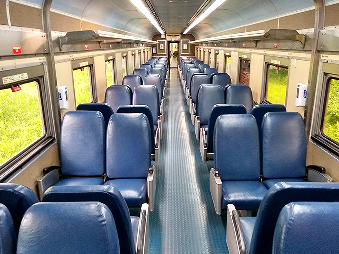 Picnic tables with million-dollar views—proof that some of life's greatest luxuries don't require a platinum card or reservations months in advance.