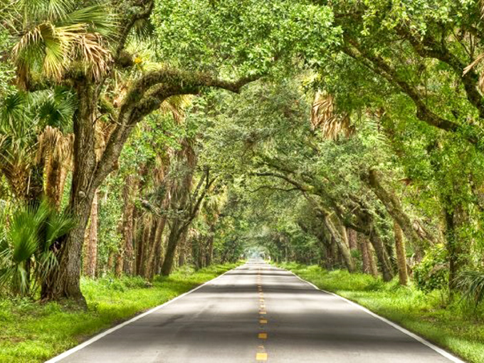 Like driving through a living postcard, this canopied corridor makes you wonder why anyone would ever choose the interstate. 