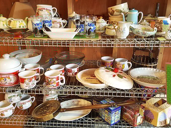 Grandma's entire kitchen cabinet seems to have relocated here, complete with memories and mismatched charm.