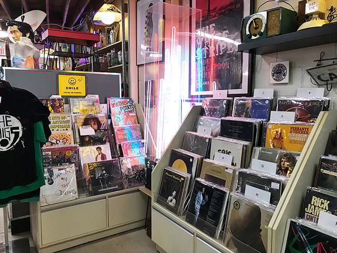 Vinyl heaven for music lovers who understand that album art deserves wall space. Each record sleeve tells a story that Spotify playlists simply cannot match.