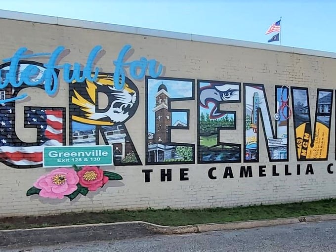 Greenville proudly proclaims its identity as "The Camellia City" with vibrant murals that bloom year-round, regardless of what the actual camellias are doing.