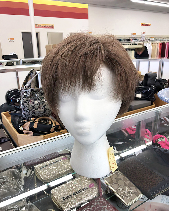 Not just a wig, but an entire personality waiting to be adopted. Someone's former hair transformation could be your next Halloween masterpiece.