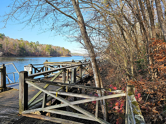Not all who wander are lost, but this boardwalk ensures you won't be. Lake views included at no extra charge.