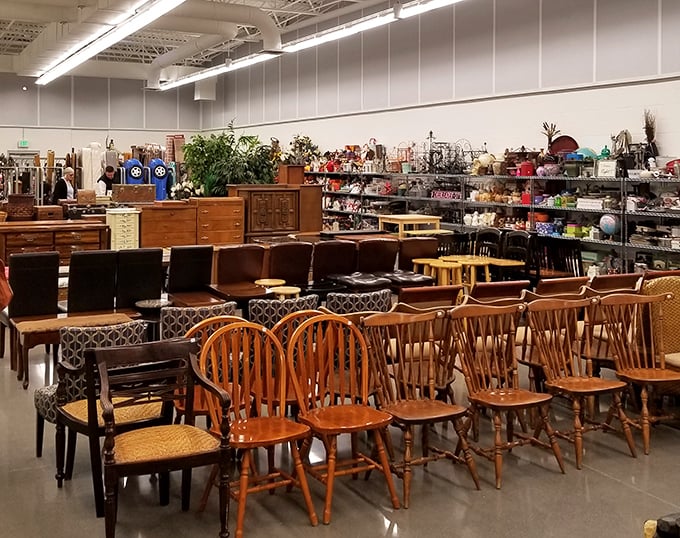 The chair lineup looks like a wooden family reunion. From Windsor to wicker, each seat waits patiently for someone to say, "You're the one!"