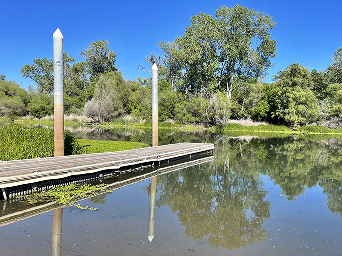 A dock stretching into still waters, where reflections are so perfect you might accidentally step into the sky.